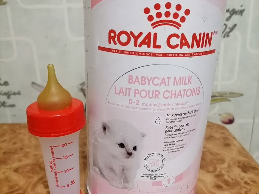 Сухое молоко для котят
