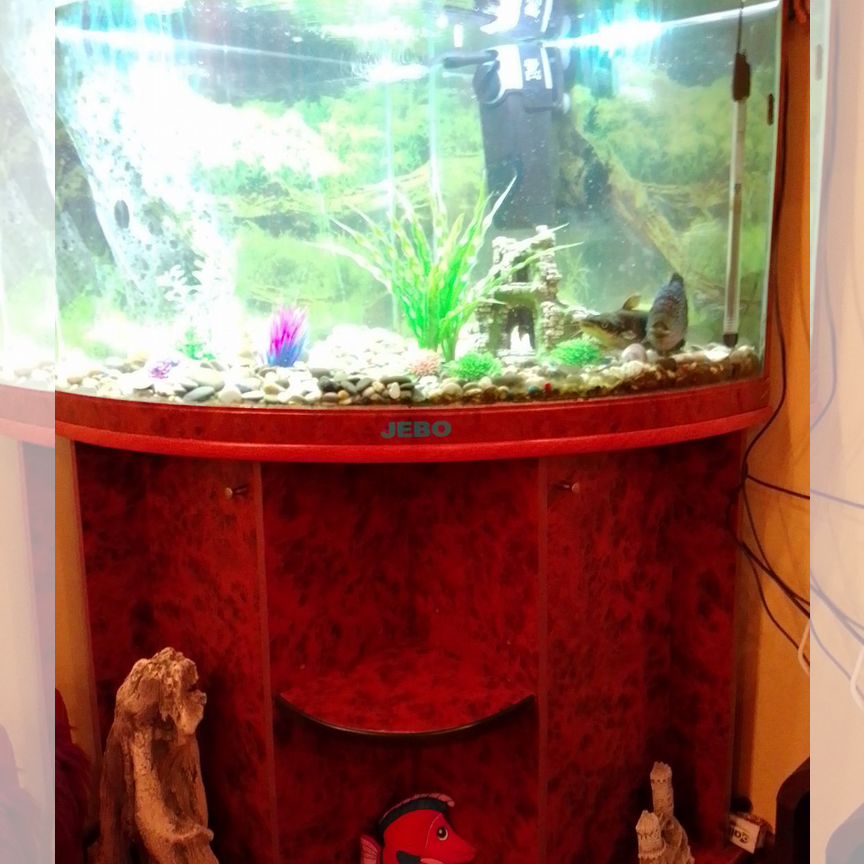Аквариум jebo 260 литров