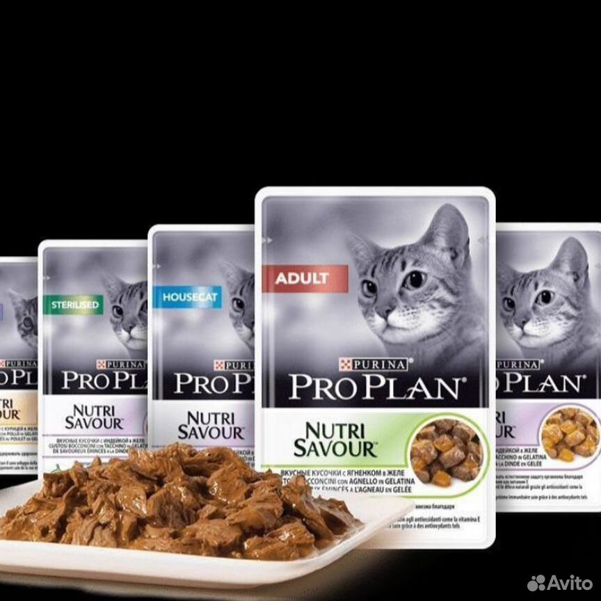 Сухой и влажный корм Pro Plan(Про план)