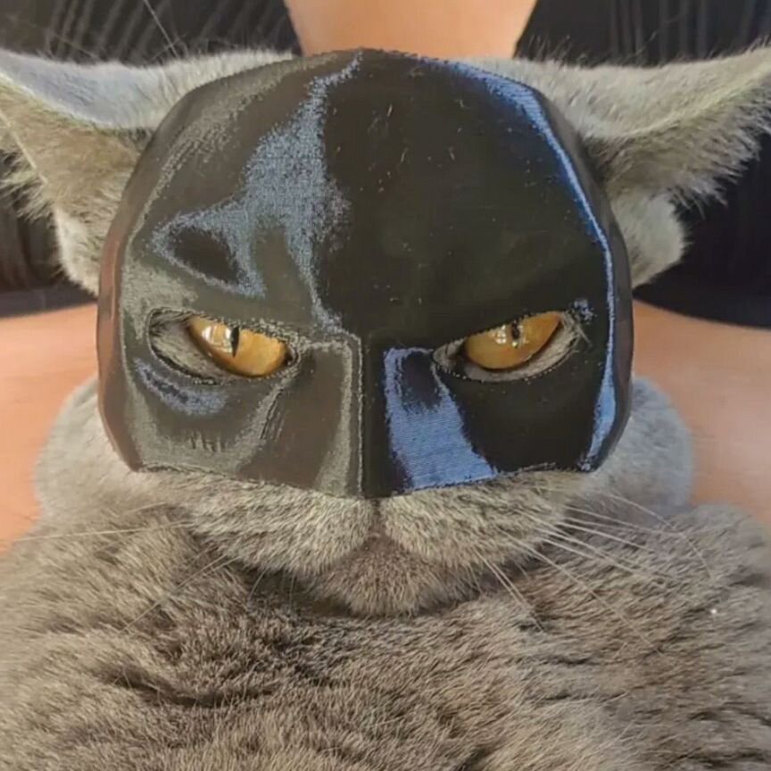 Маска бэтмена для кота