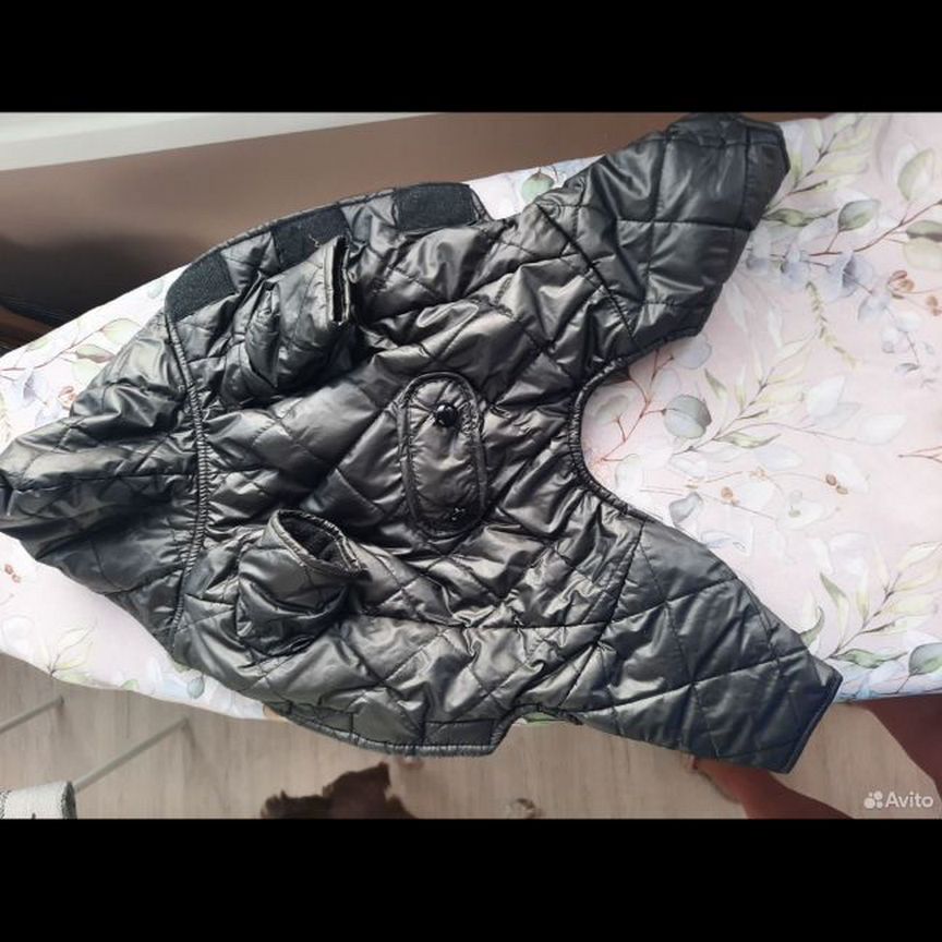 Комбинезон на той-терьера, новый