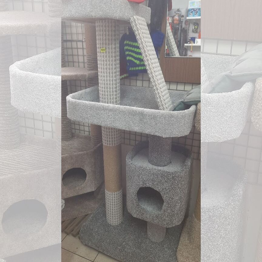 Когтеточка