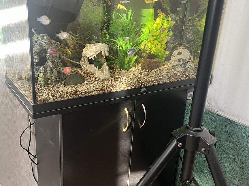 Аквариум 150 литров с тумбой