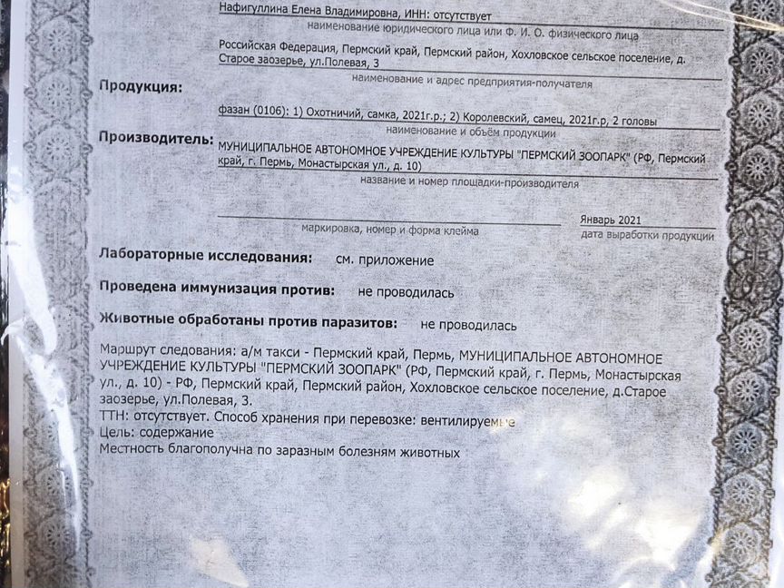 Попугай карелла с клеткой