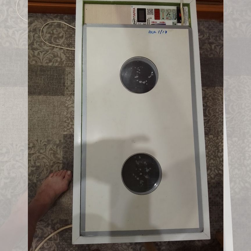 Инкубатор блиц 120 бу
