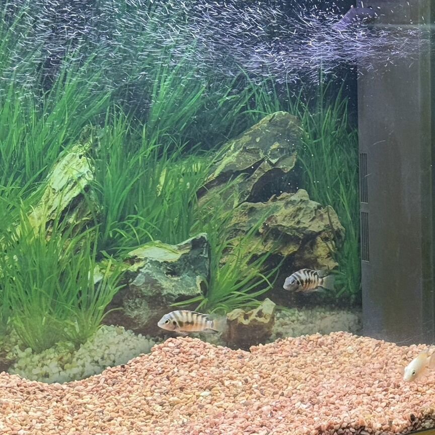 Аквариумный грунт