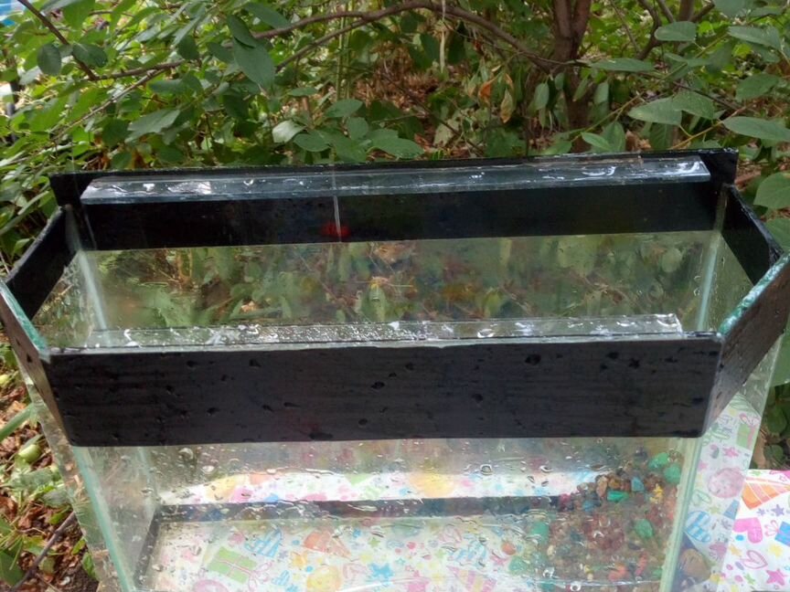 Террариум для улиток