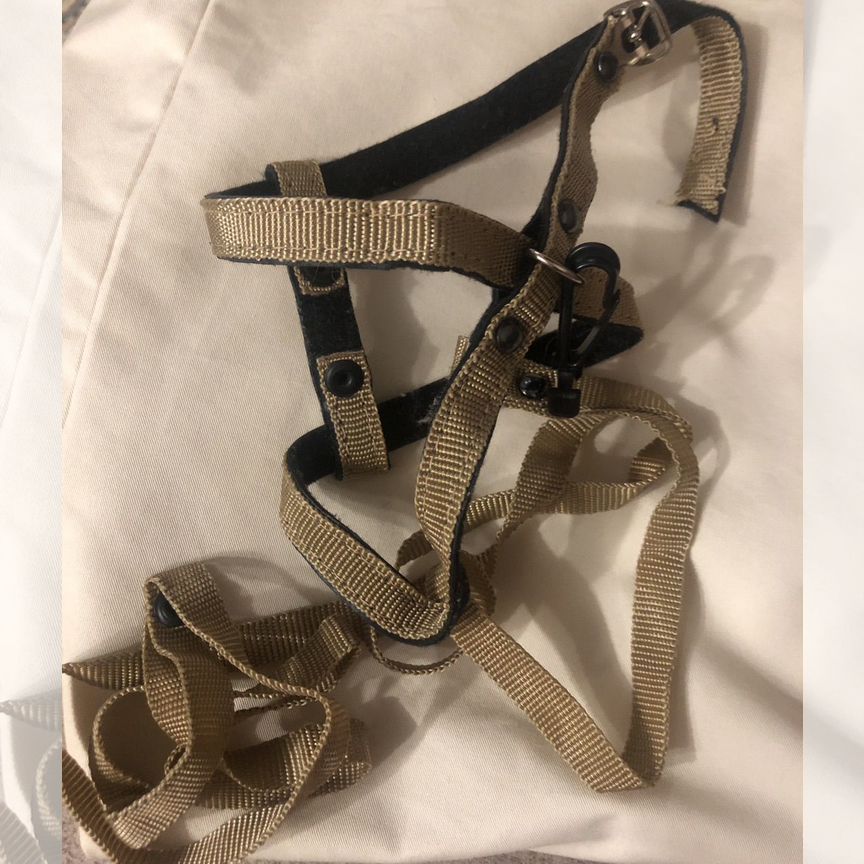 Шлейка для кошки или маленькой собаки с поводком