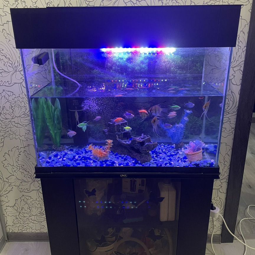 Продам аквариум с рыбками и всё необходимое