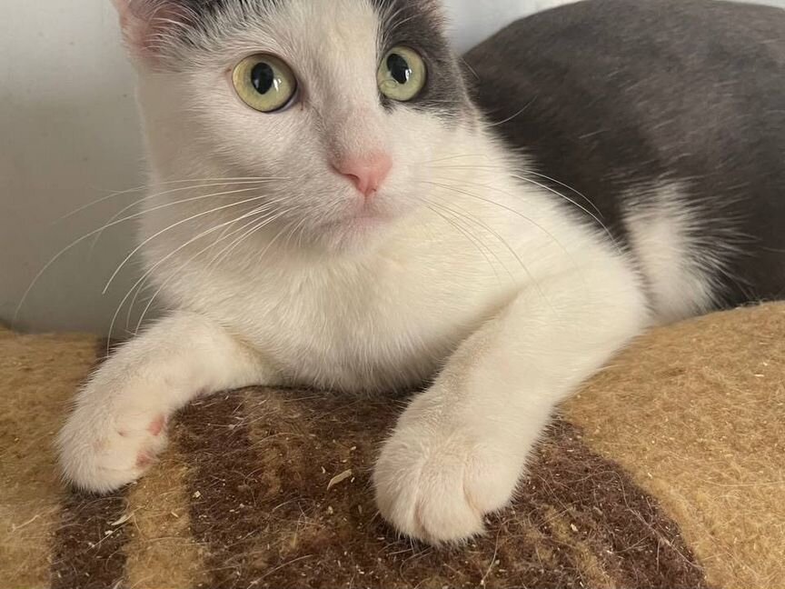 Фисташка,ждет тебя