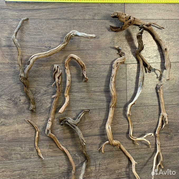 Коряги, виноградная лоза