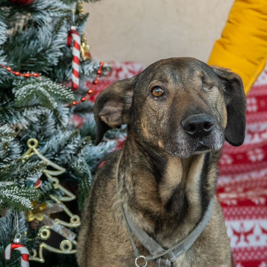 У Дизеля нет глазика, но есть вера в чудо