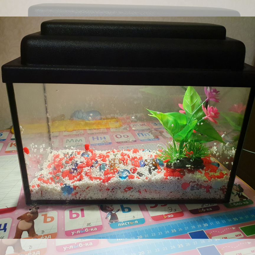 Аквариум с крышкой 10 л
