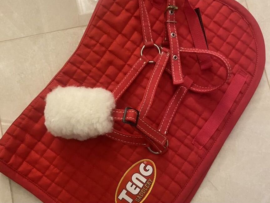 Амуниция для пони