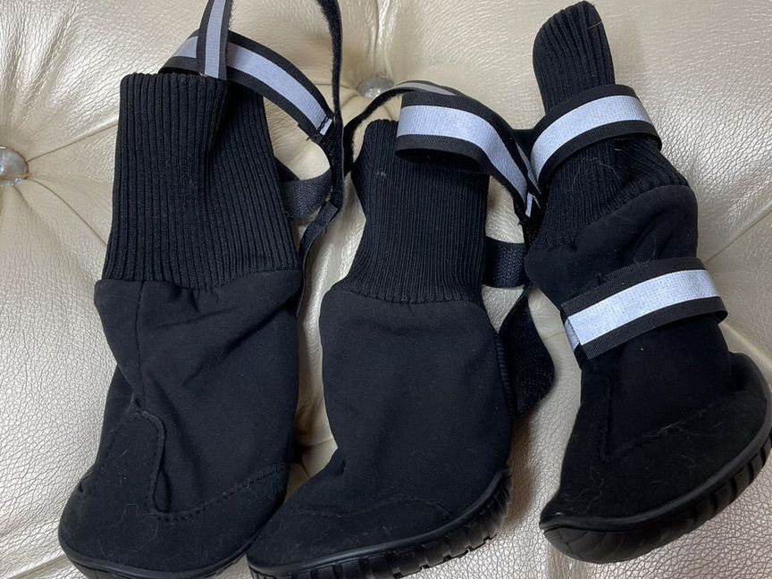 Зимние ботинки для собак