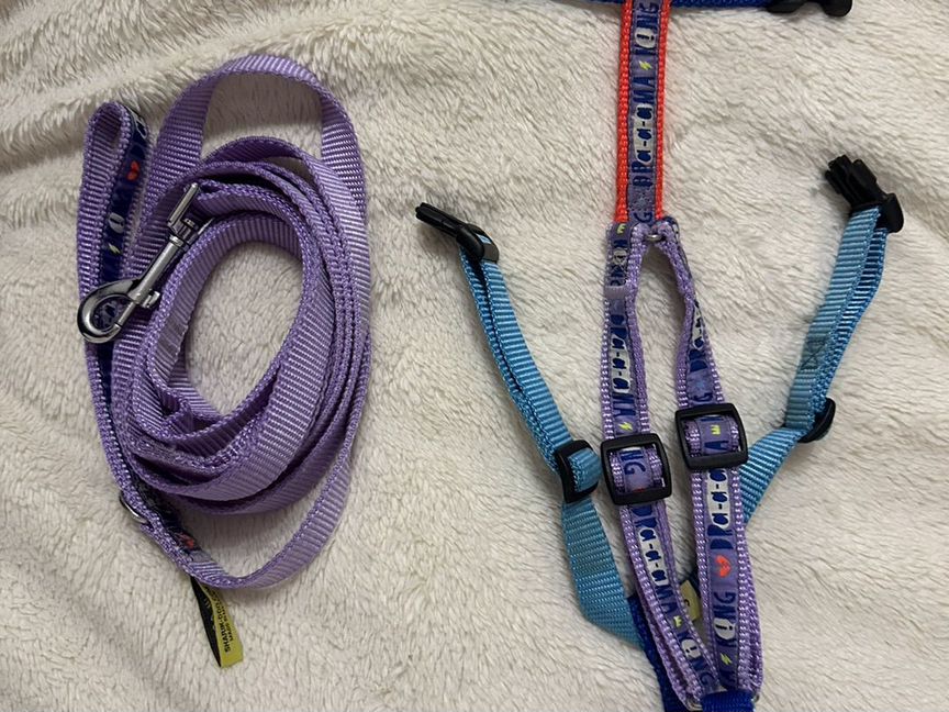 Шлейка для средней собаки