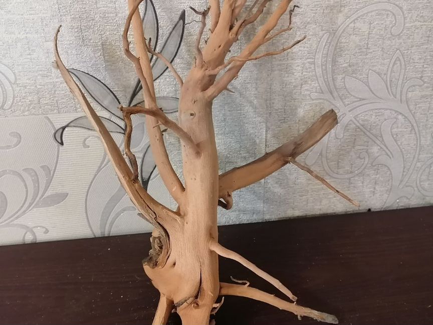 Коряга