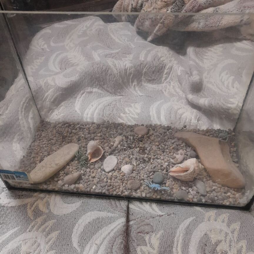 Аквариум