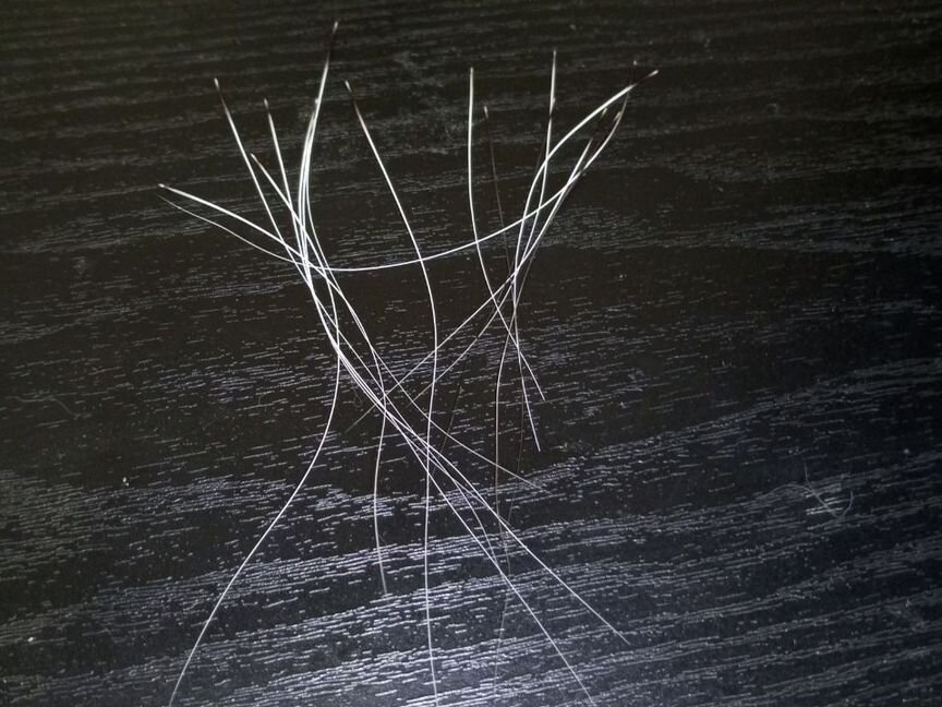 Кошачьи усы