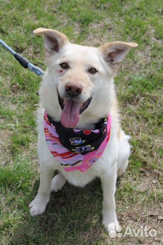 Каждый день борьба за жизнь