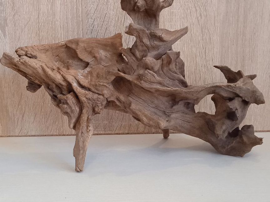 Корягина мангровая, камни,оникс, дракон, аквариума