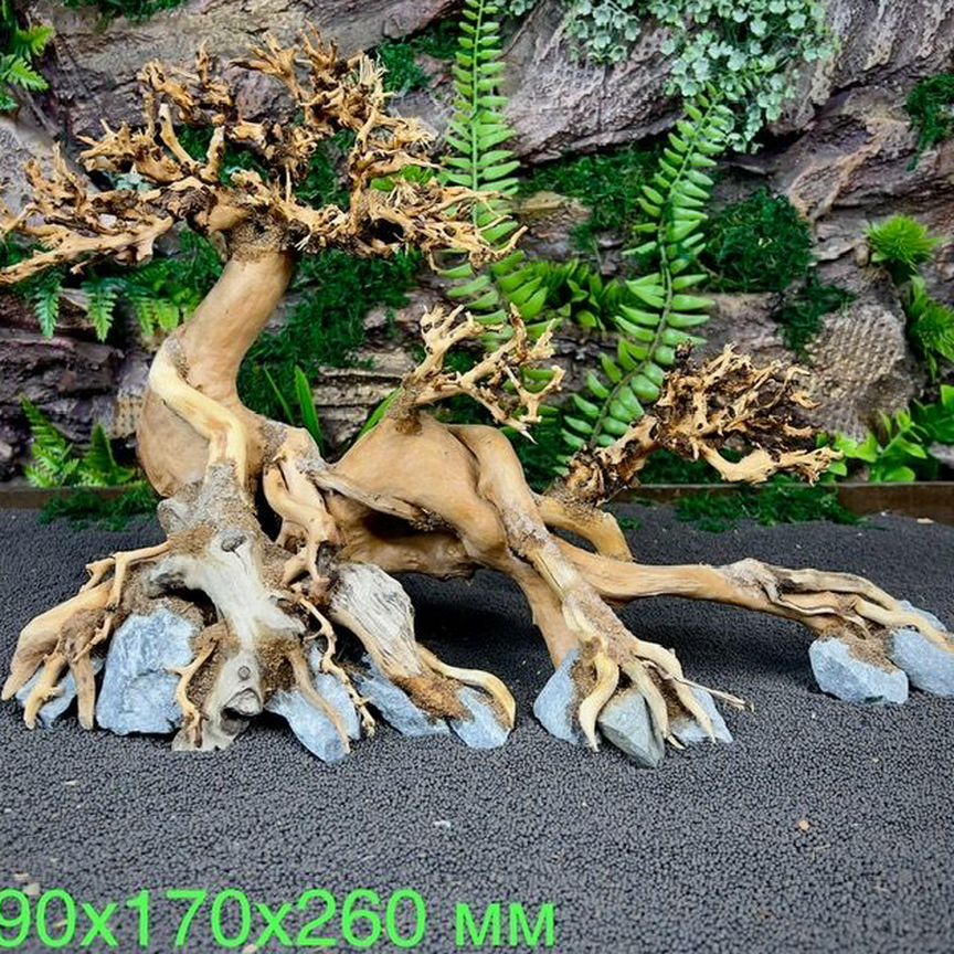 Коряга Бонсай бон107