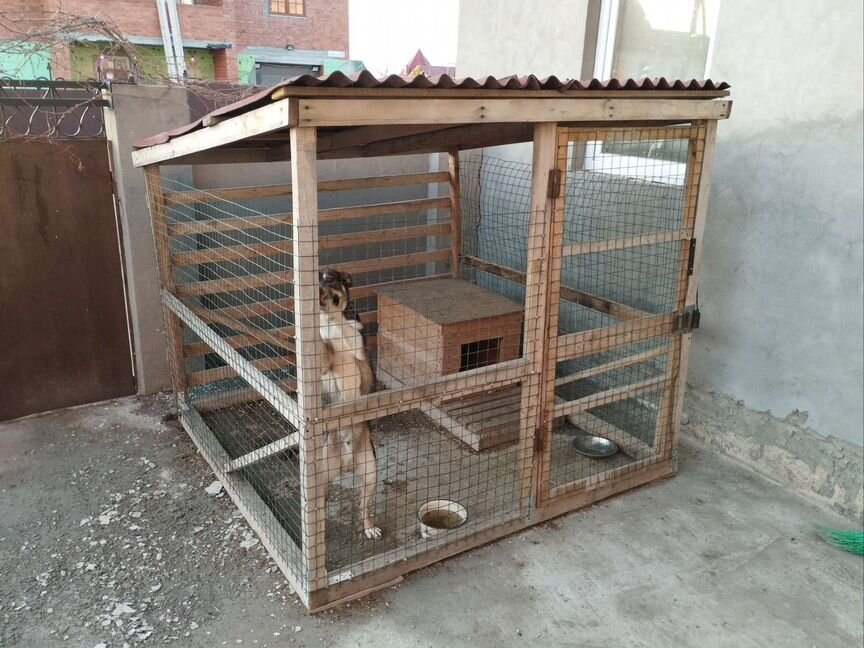 Пёс-Охранник с вольером