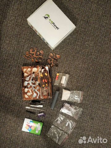 Муравьиная ферма с муравьями