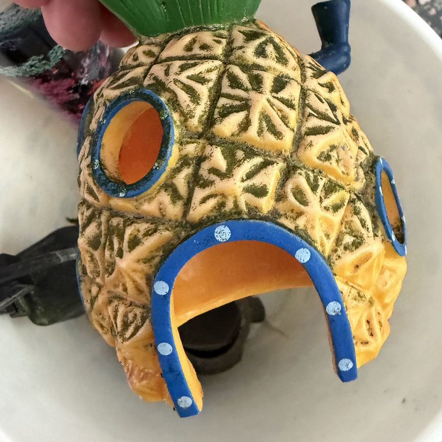 Отдам для аквариума