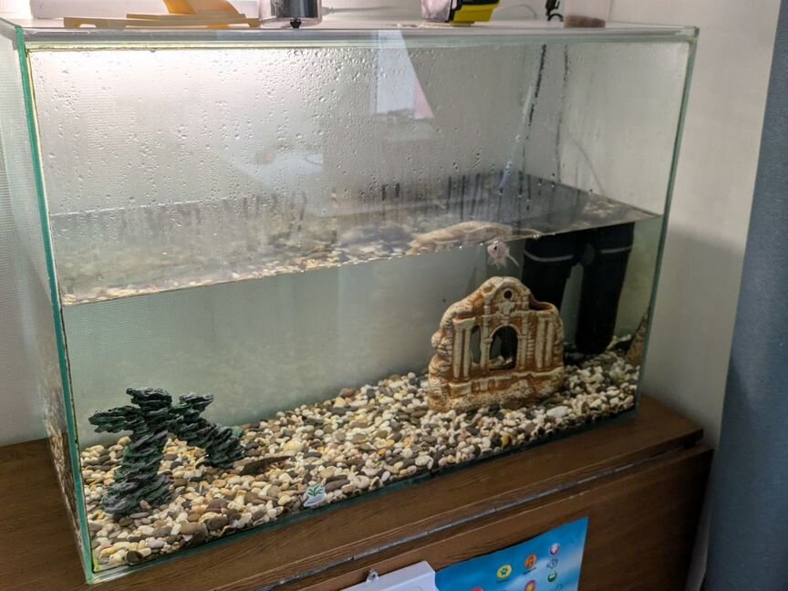 Аквариум 100 литров