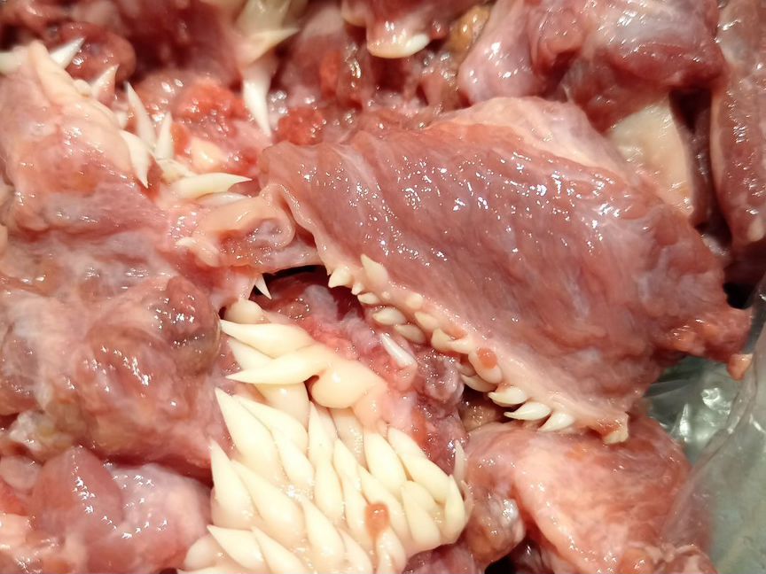 Мясо для собак