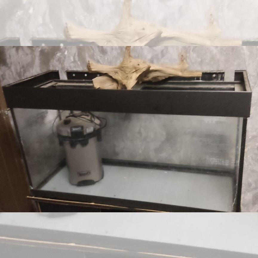 Аквариум 160 литров с тумбой и всякой всячиной