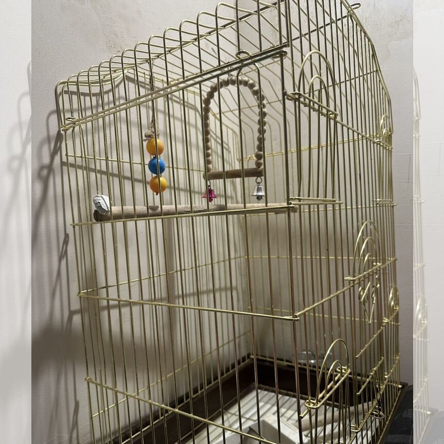 Клетка для попугая и корм