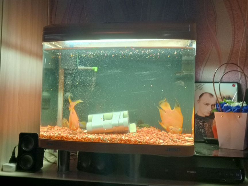 Аквариум