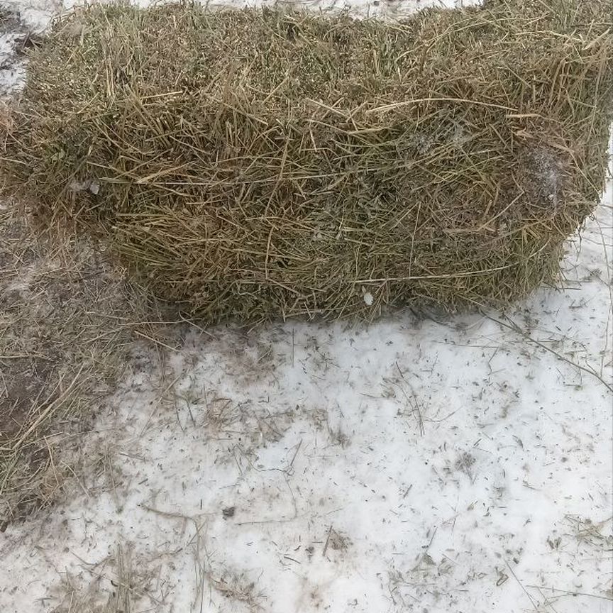 Сено люцерны в тюках