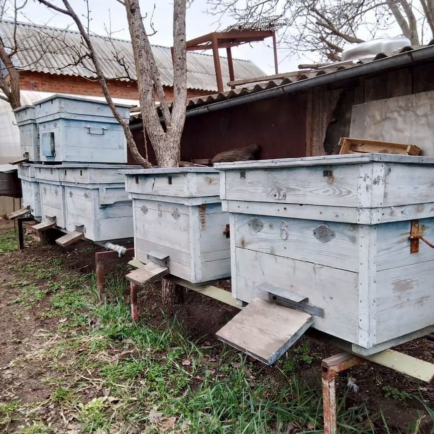 Продам ульи для пчел