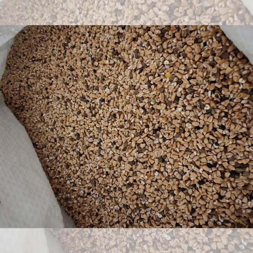 Зерно отходы пшеничные в мешках