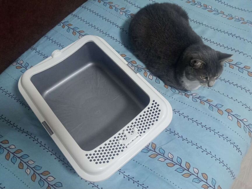 Лоток для кошек 39х30