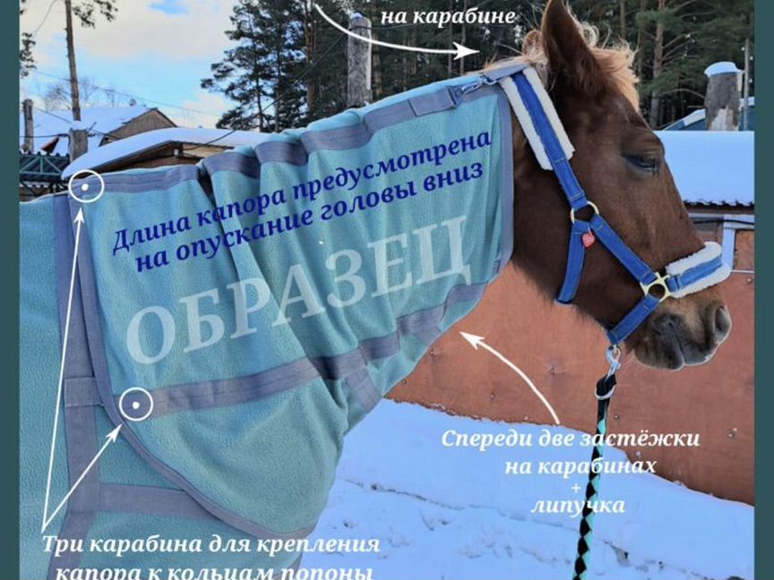 Амуниция для лошади
