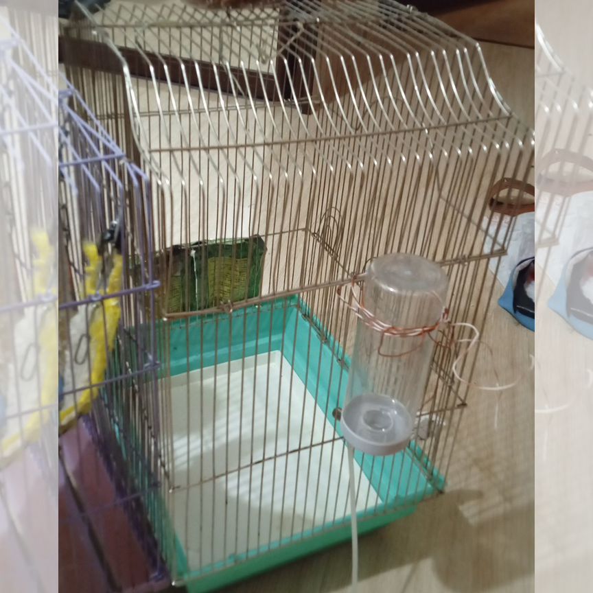 Клетка для грызунов