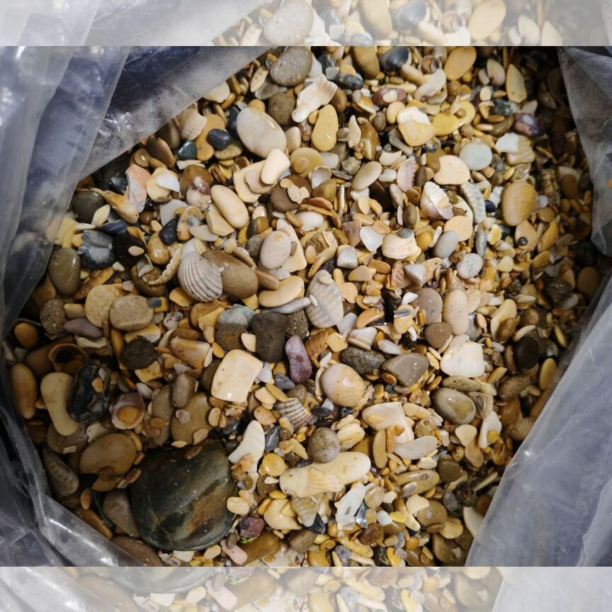Грунт для аквариума с ракушками