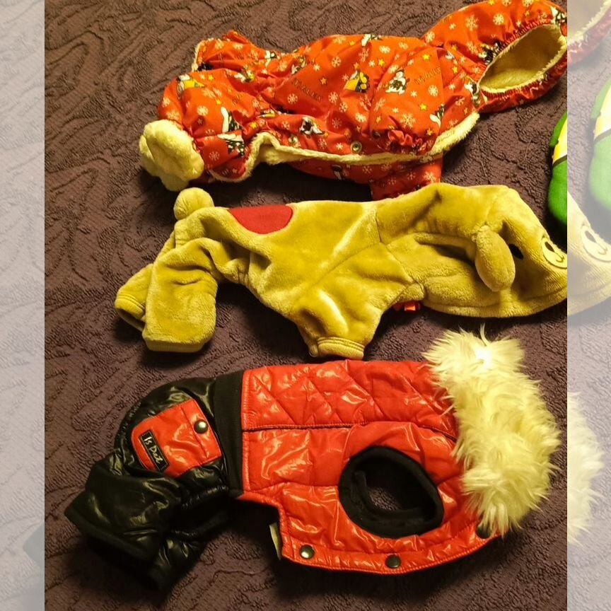 Зимняя одежда для собак мелких пород