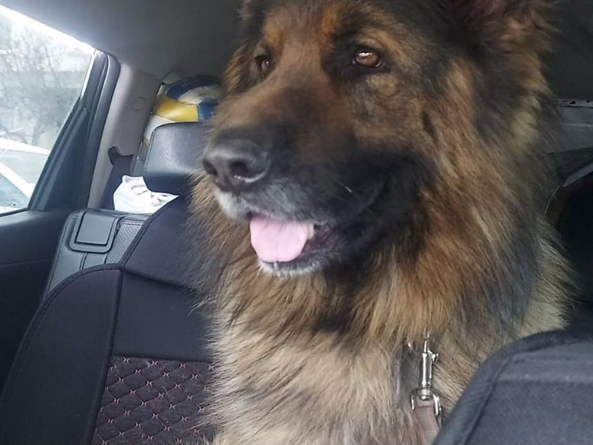 Крутой пацан