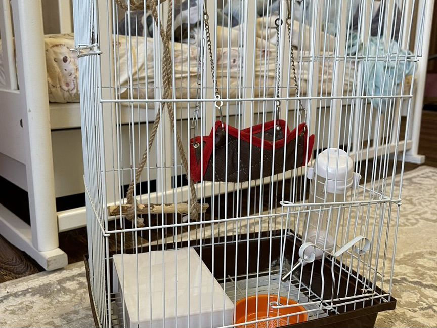 Клетка для Сирийского или джунгарика хомяка