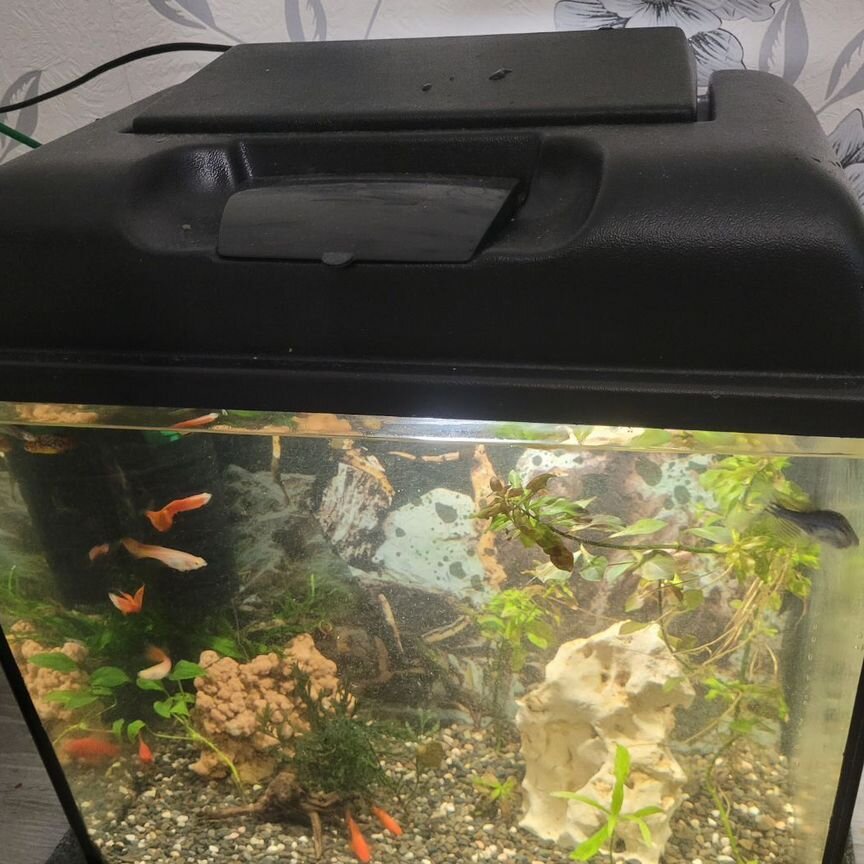 Аквариум 50л