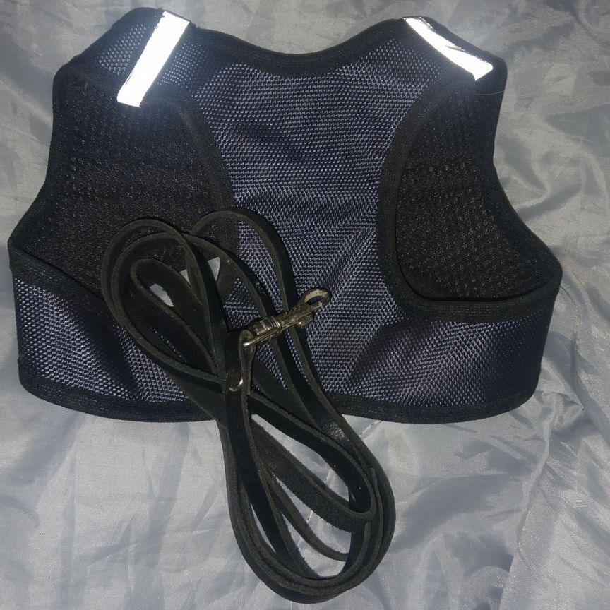 Шлейки с поводками и кожаный намордник