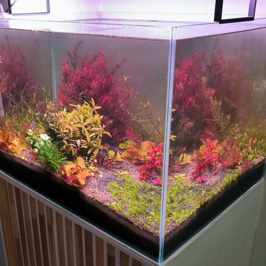 Аквариум 60х45х40 оптивайт 6мм без ребер