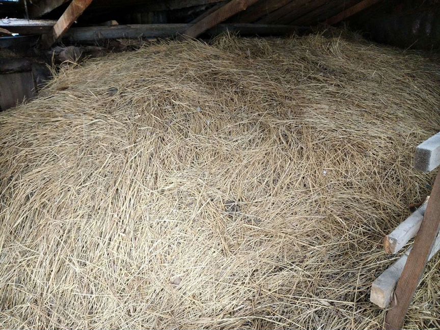 Солома, сено