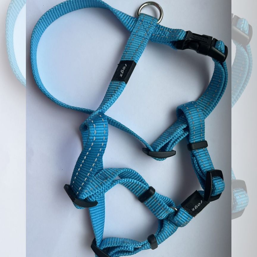 Шлейка для собаки rogz