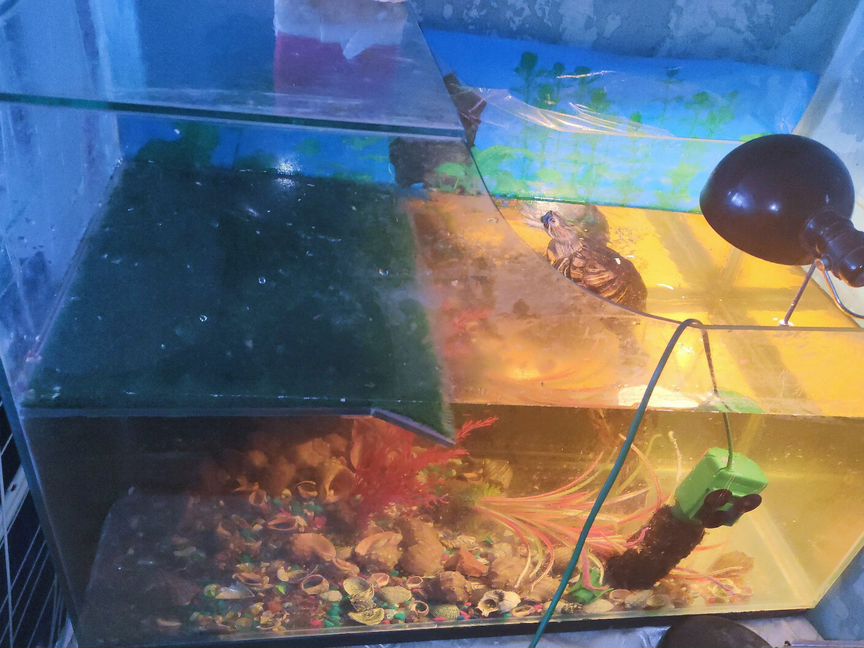 Аквариум для рыбок или черепахи